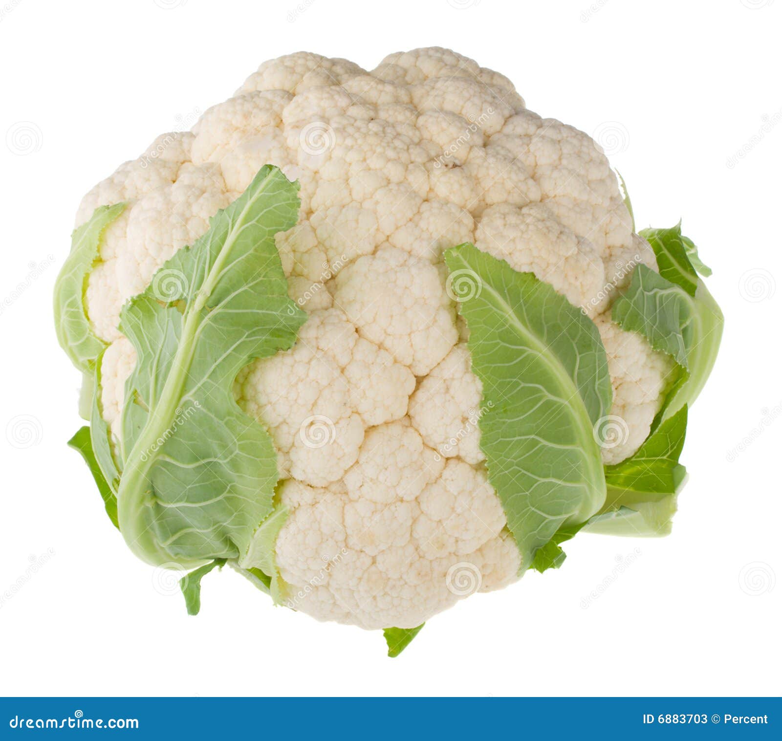 Single cauliflower stock image. Image of studio, freshness - 6883703