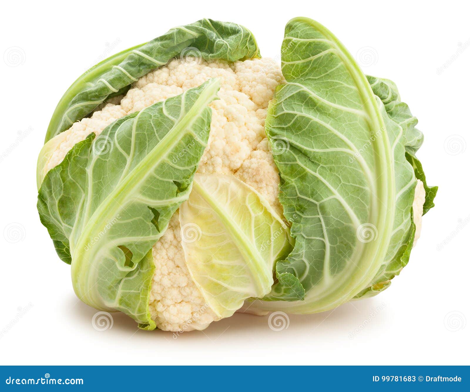 Cauliflower stock image. Image of product, isolated, green - 99781683