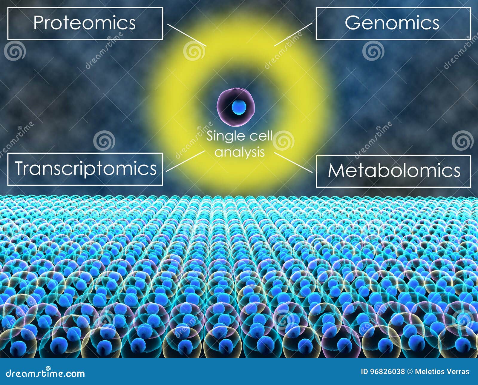 Transcriptomics Cartoons, Illustrations & Vector Stock Images - 12 ...