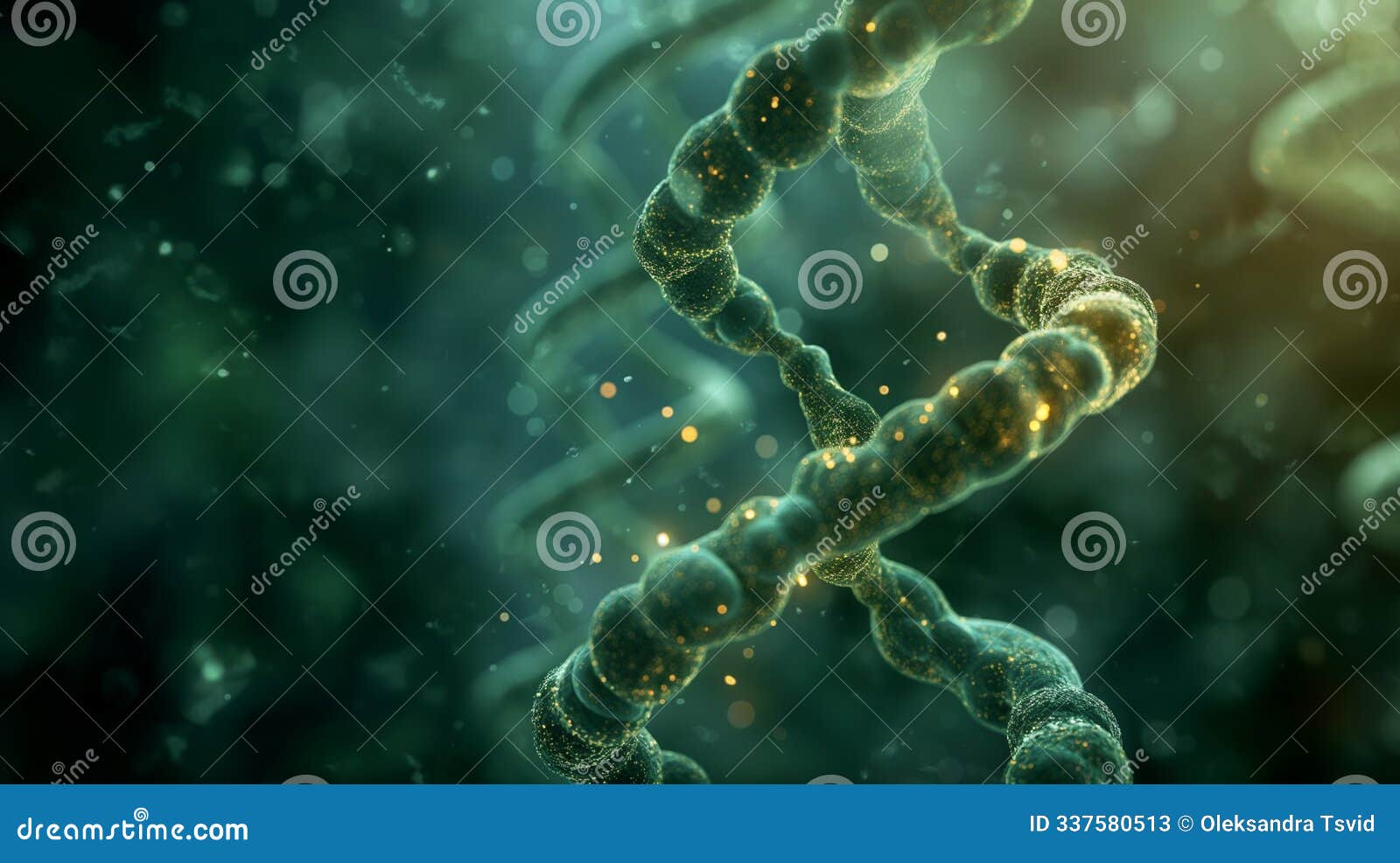 Single Cell, Revealing the Complexity and Order within Its DNA ...