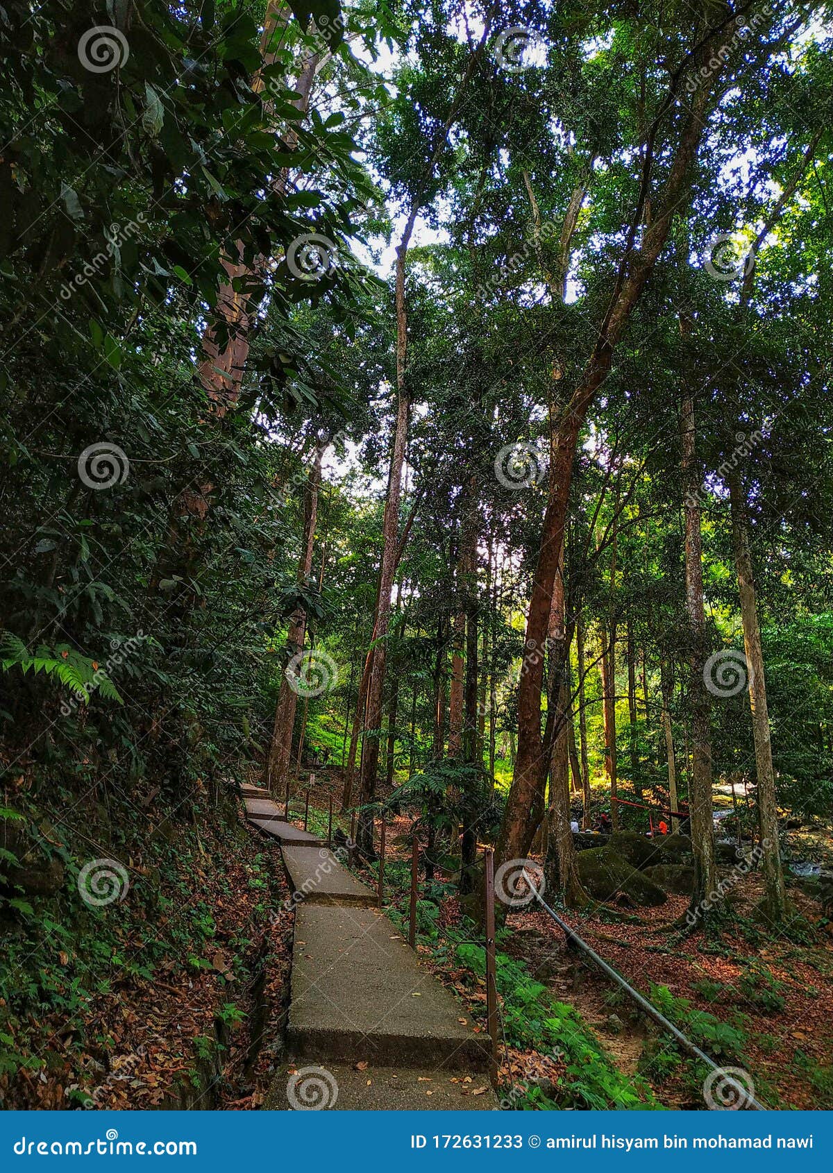 Single Cement Trail before Get the Top of Hill Stock Image - Image of ...