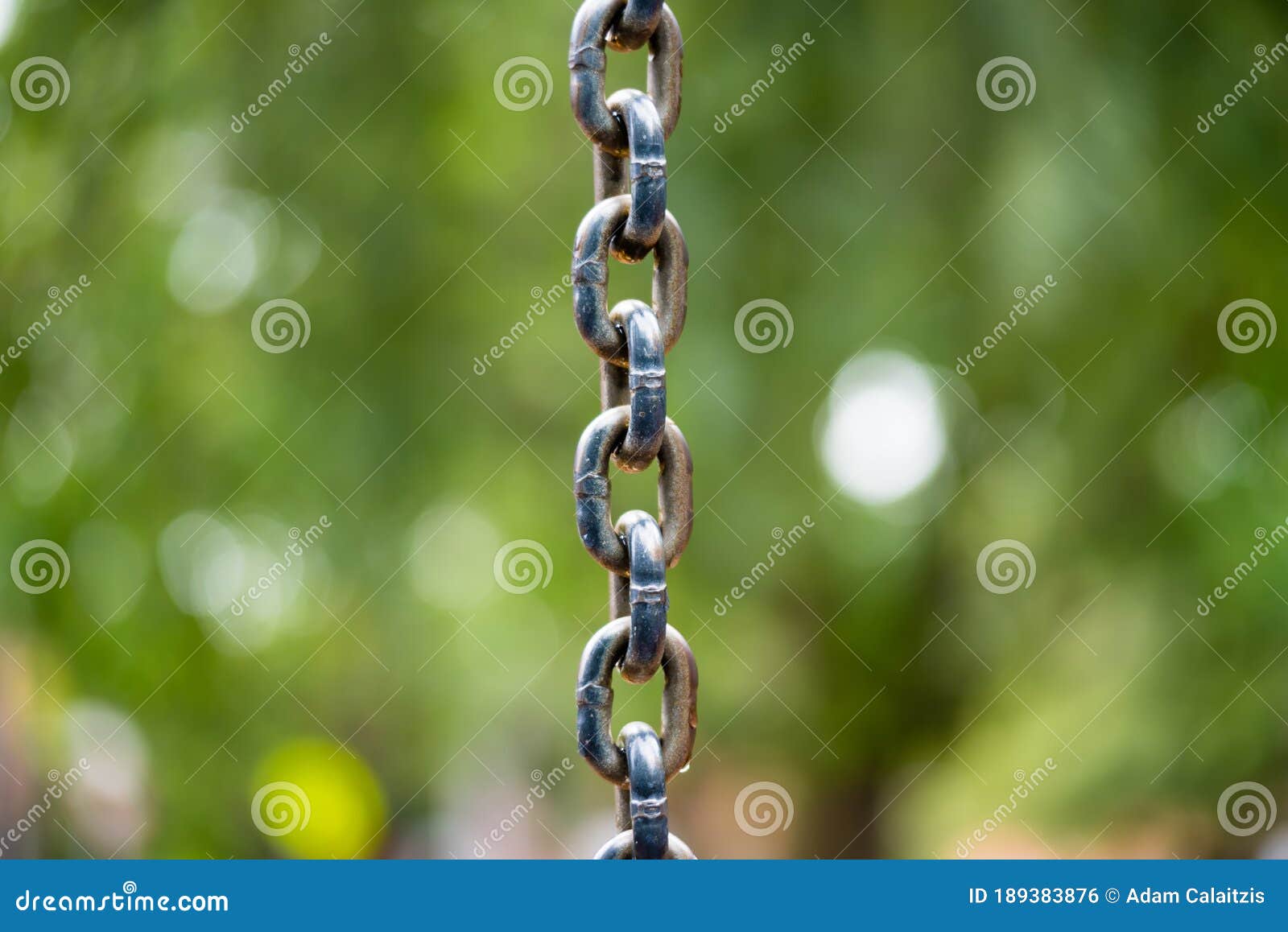 A Single Vertical Chain Against a Green Background Stock Photo - Image ...
