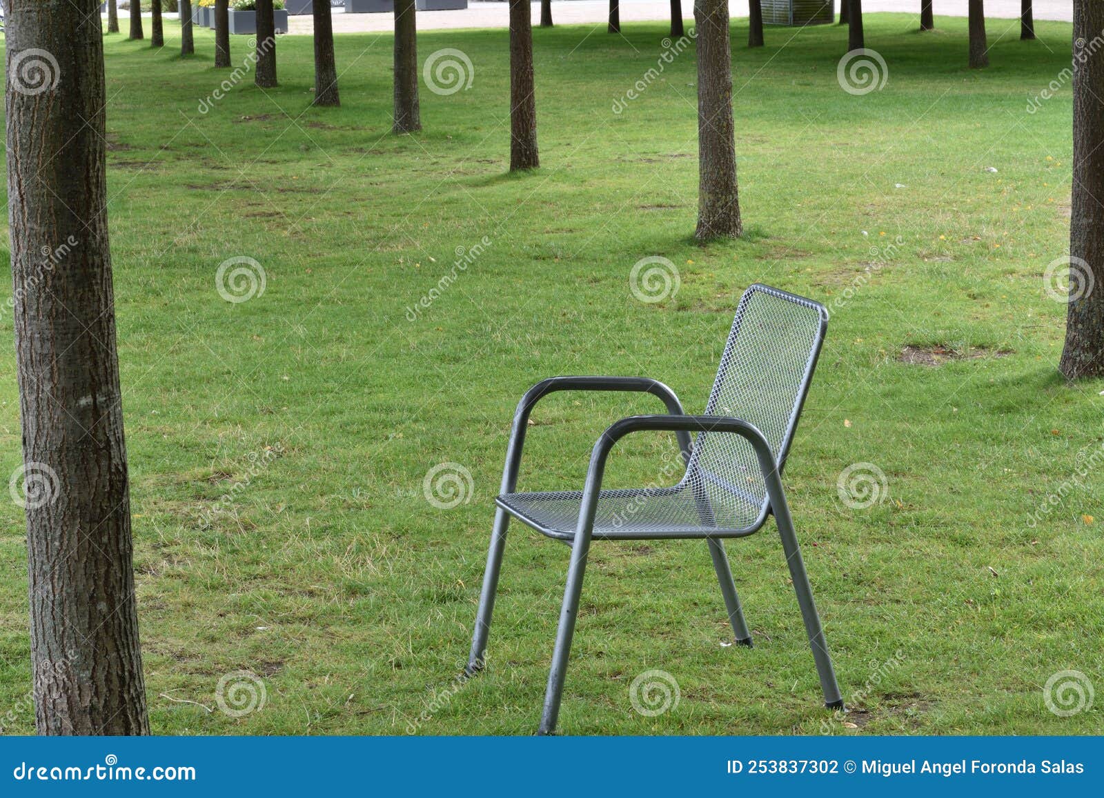 Single Chair on the Public Lawn Under the Shade of the Trees Stock ...