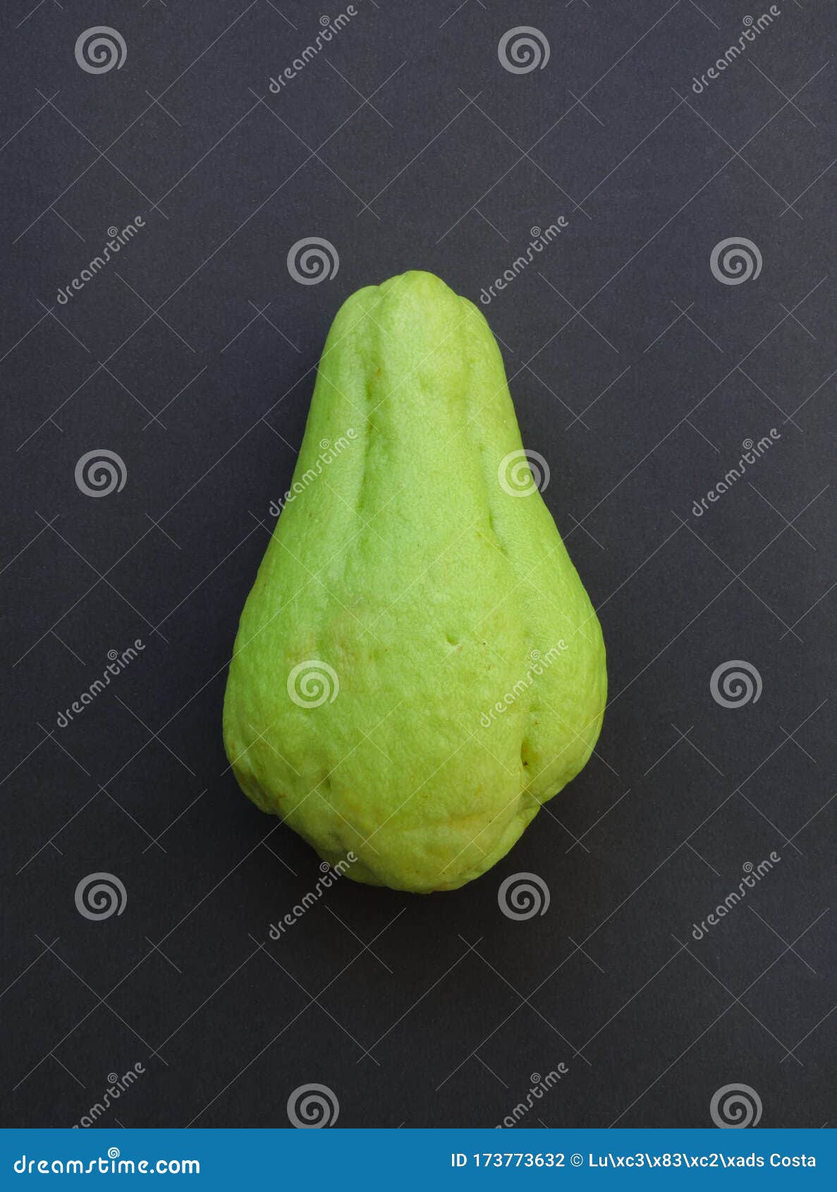 A single chayote stock photo. Image of food, pear, mirliton - 173773632
