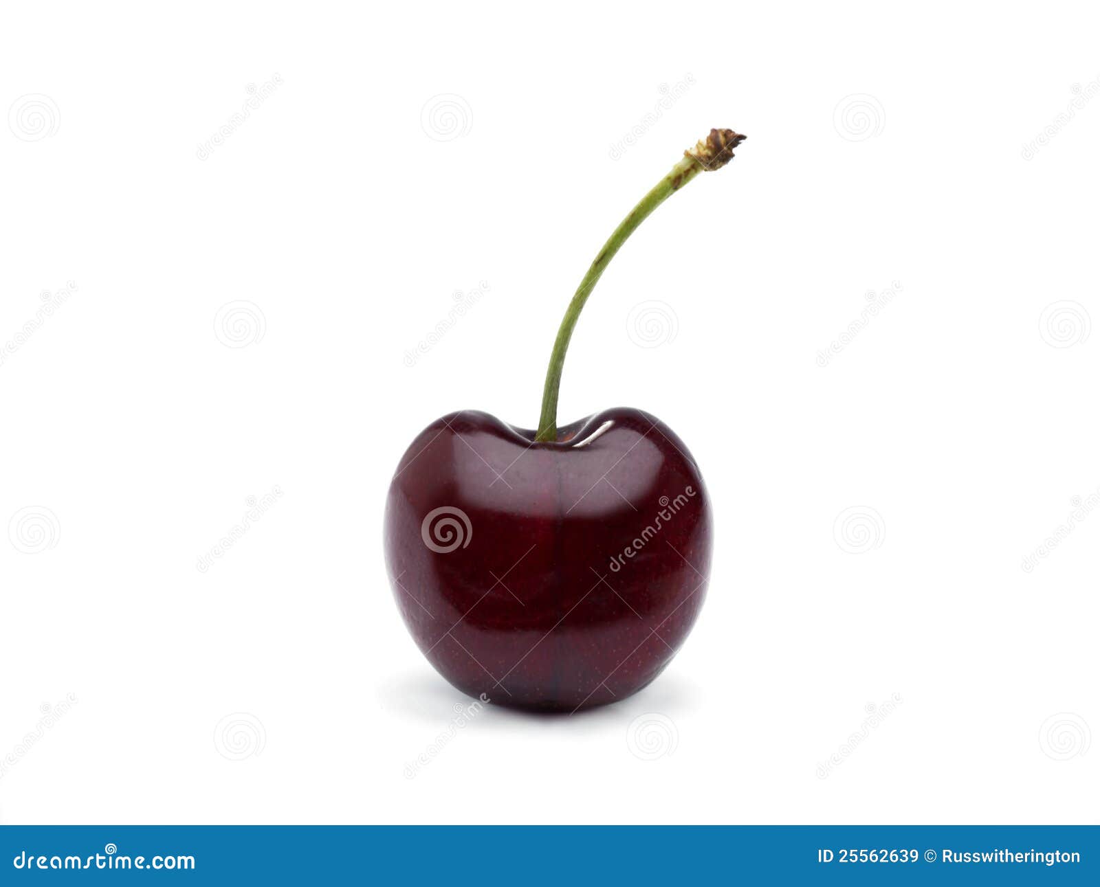 Single Cherry Royalty Free Stock Images - Image: 25562639
