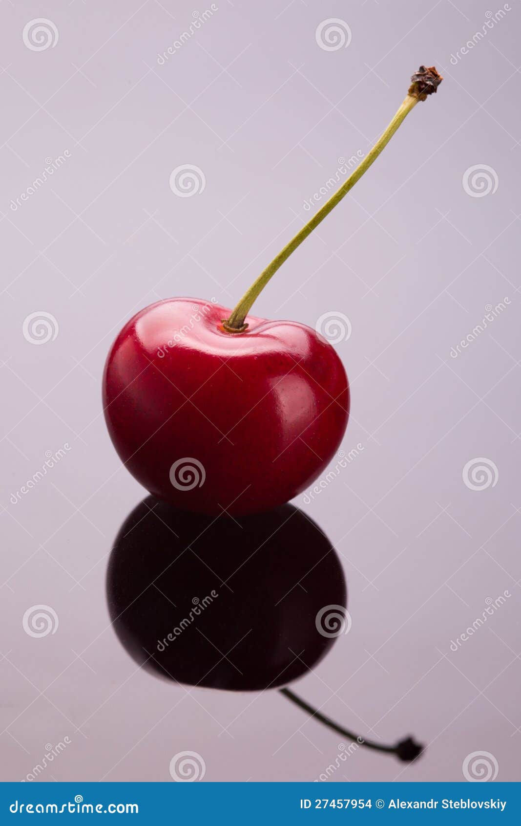 Single cherry stock photo. Image of natural, healthy - 27457954
