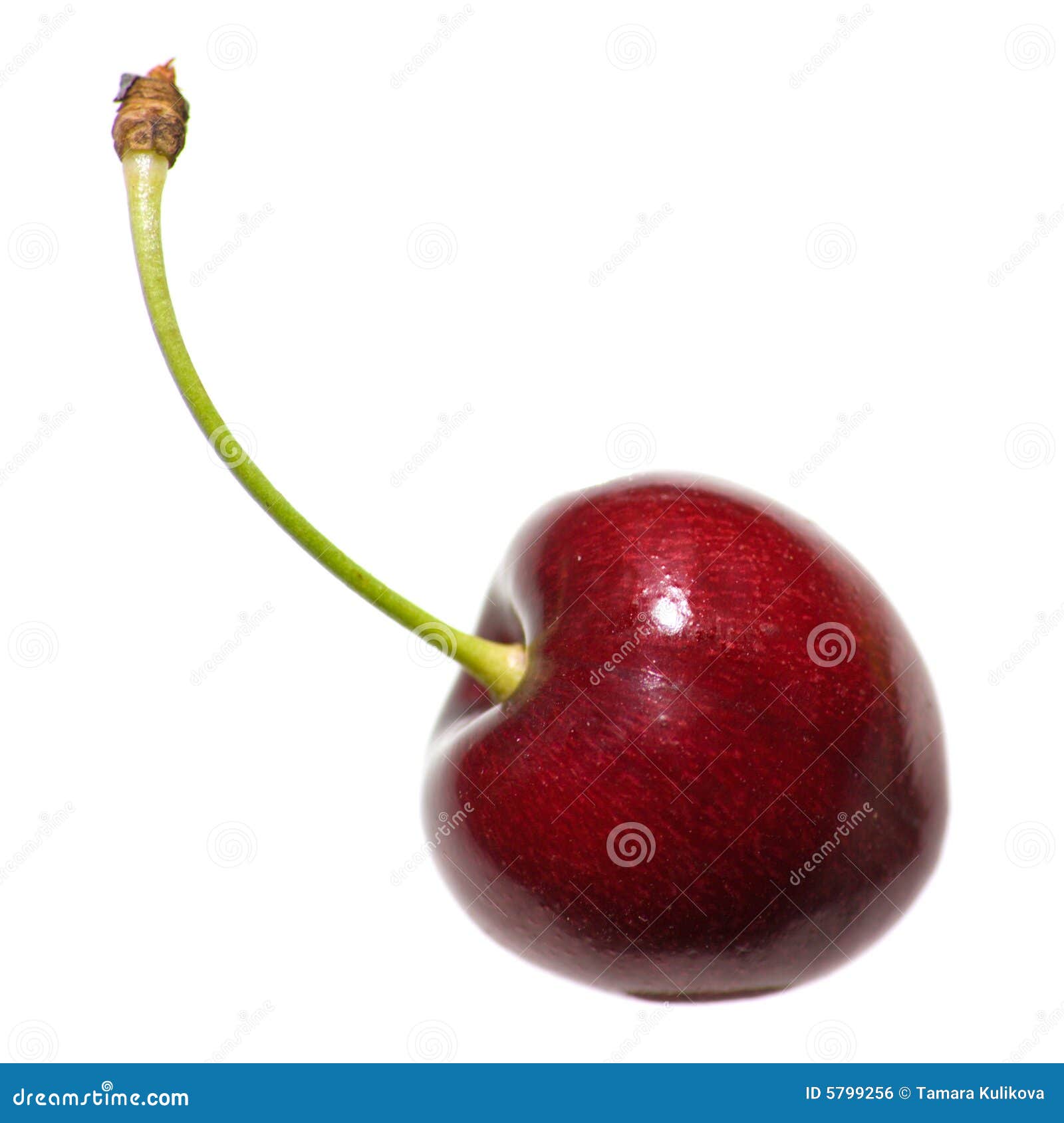 Single cherry stock photo. Image of single, taste, white - 5799256