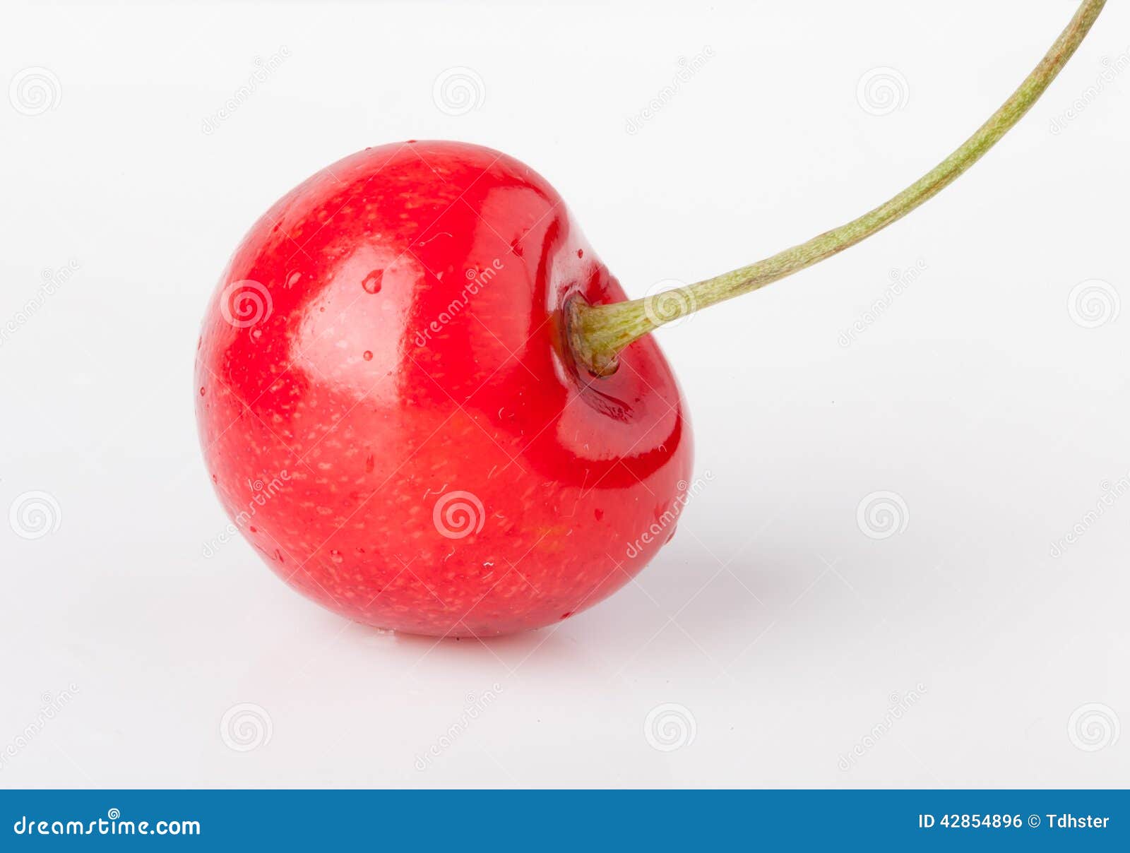 Single cherry isolated stock photo. Image of healthy - 42854896