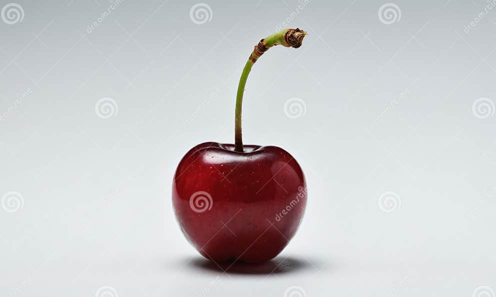 Single Red Cherry Isolated on a White Background Stock Illustration ...