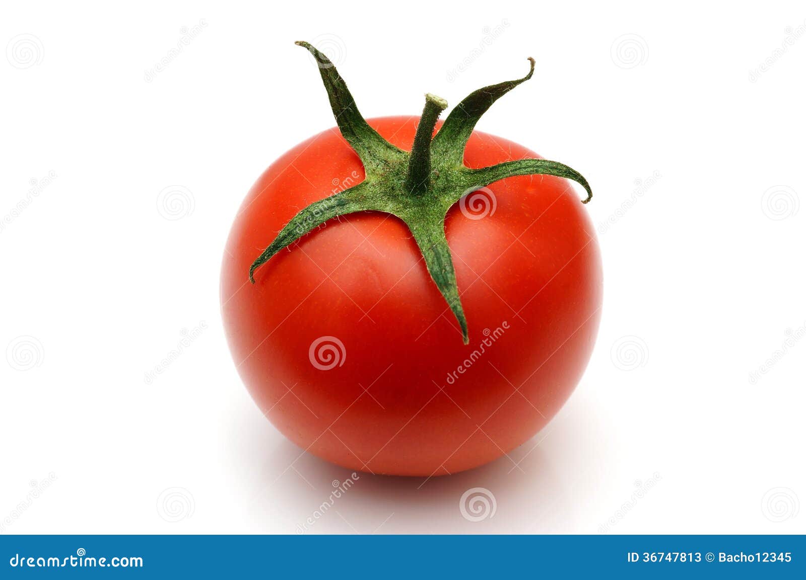 Single cherry tomato stock image. Image of fresh, market - 36747813