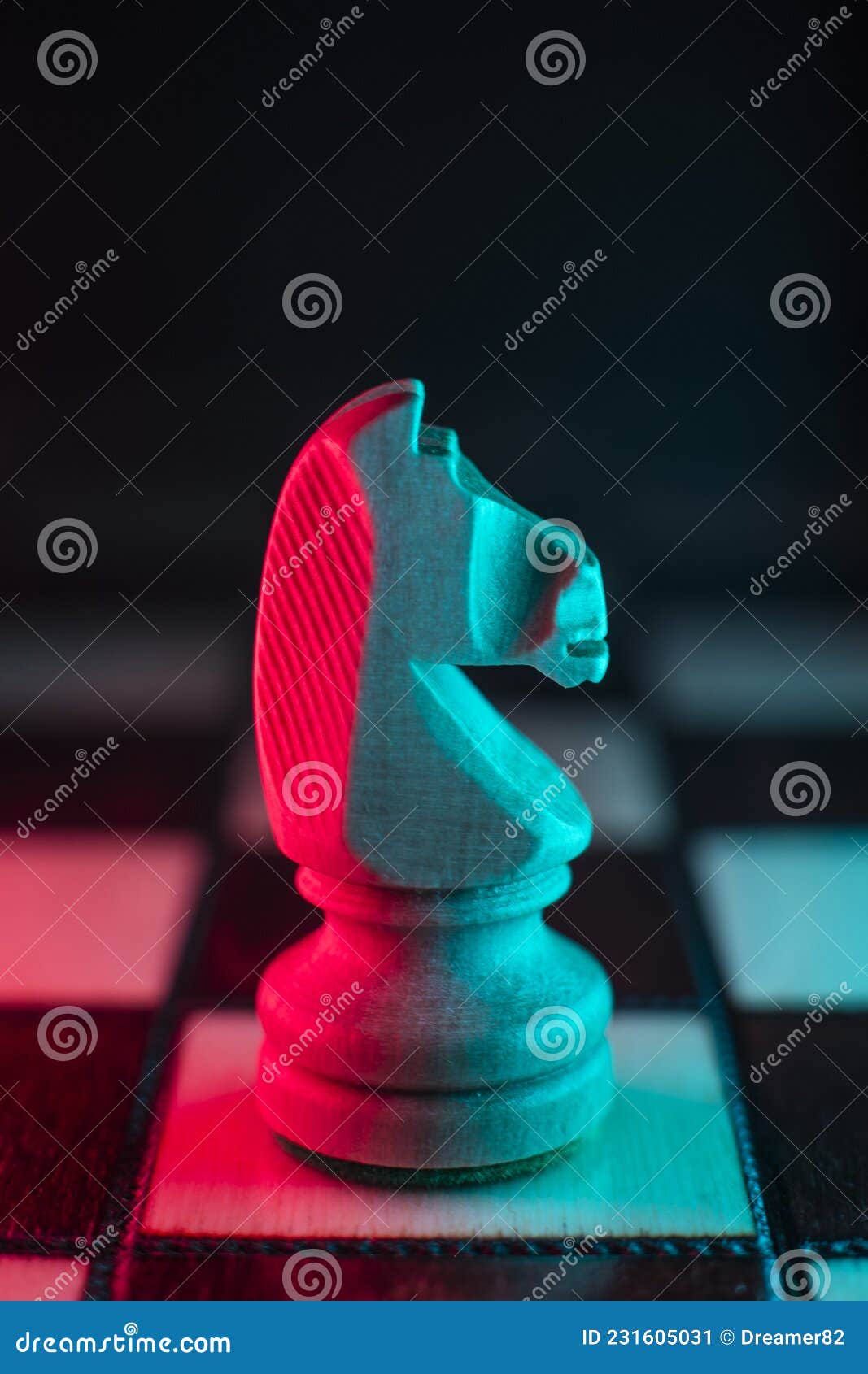 Single Chess Knight. Good or Bad Side Stock Image - Image of concept ...