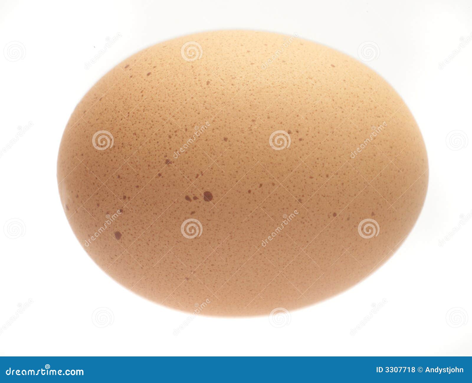 A Single Chicken Egg Picture. Image: 3307718