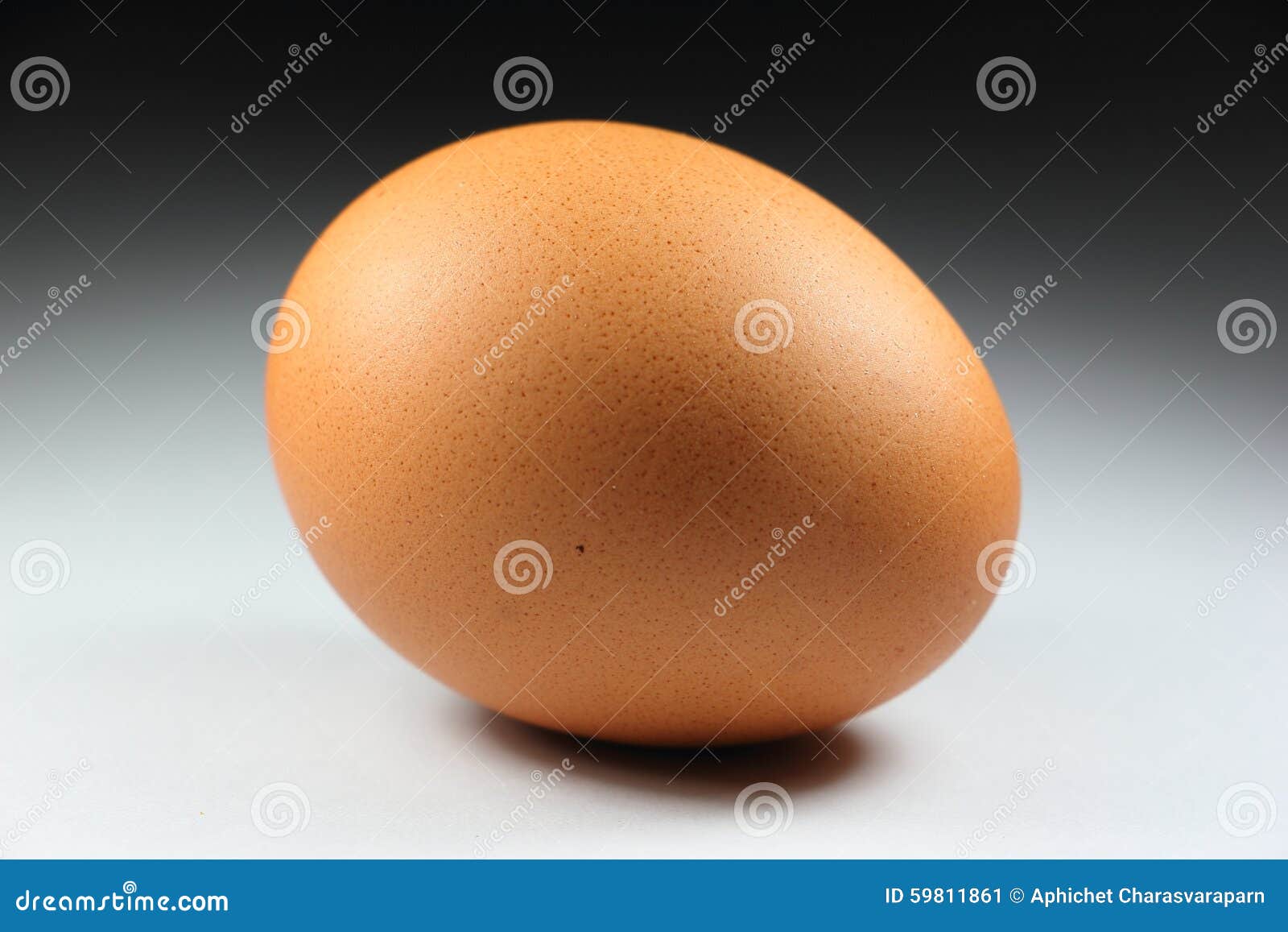 Single Chicken Egg on Background Stock Image - Image of protein, object ...
