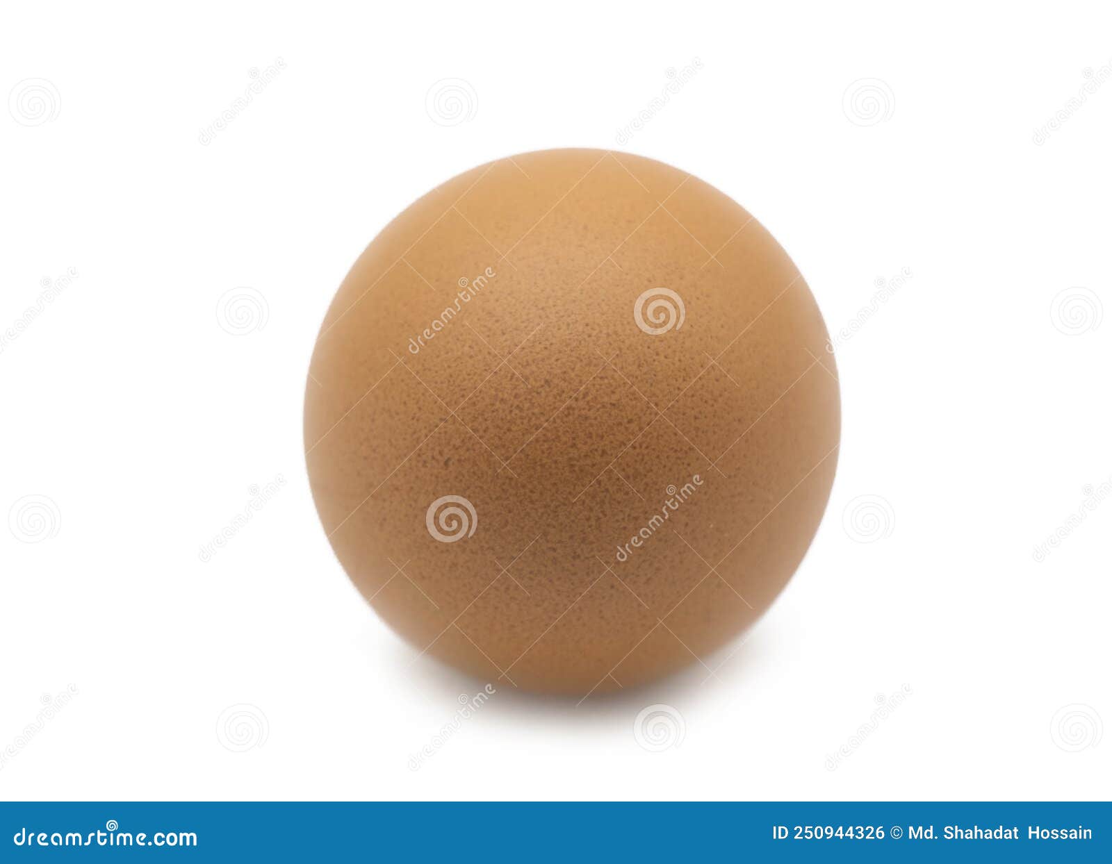 Single Chicken Egg Isolated on White Background Stock Photo - Image of ...