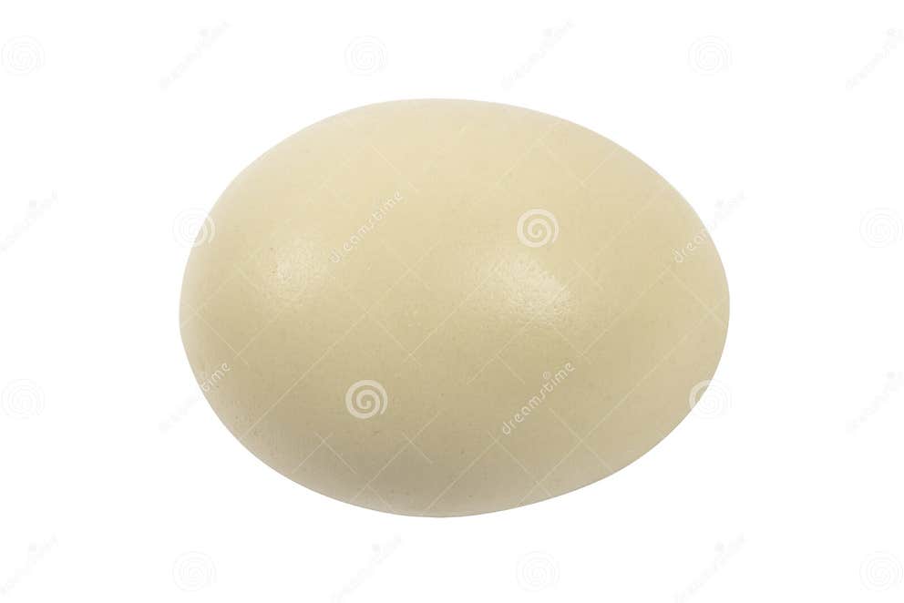 Single Chicken Egg Isolated on White Background Stock Photo - Image of ...