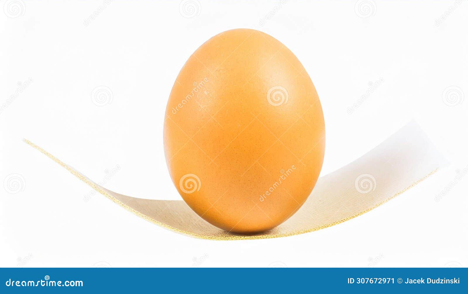 Single Chicken Egg Isolated on White Background Stock Illustration ...