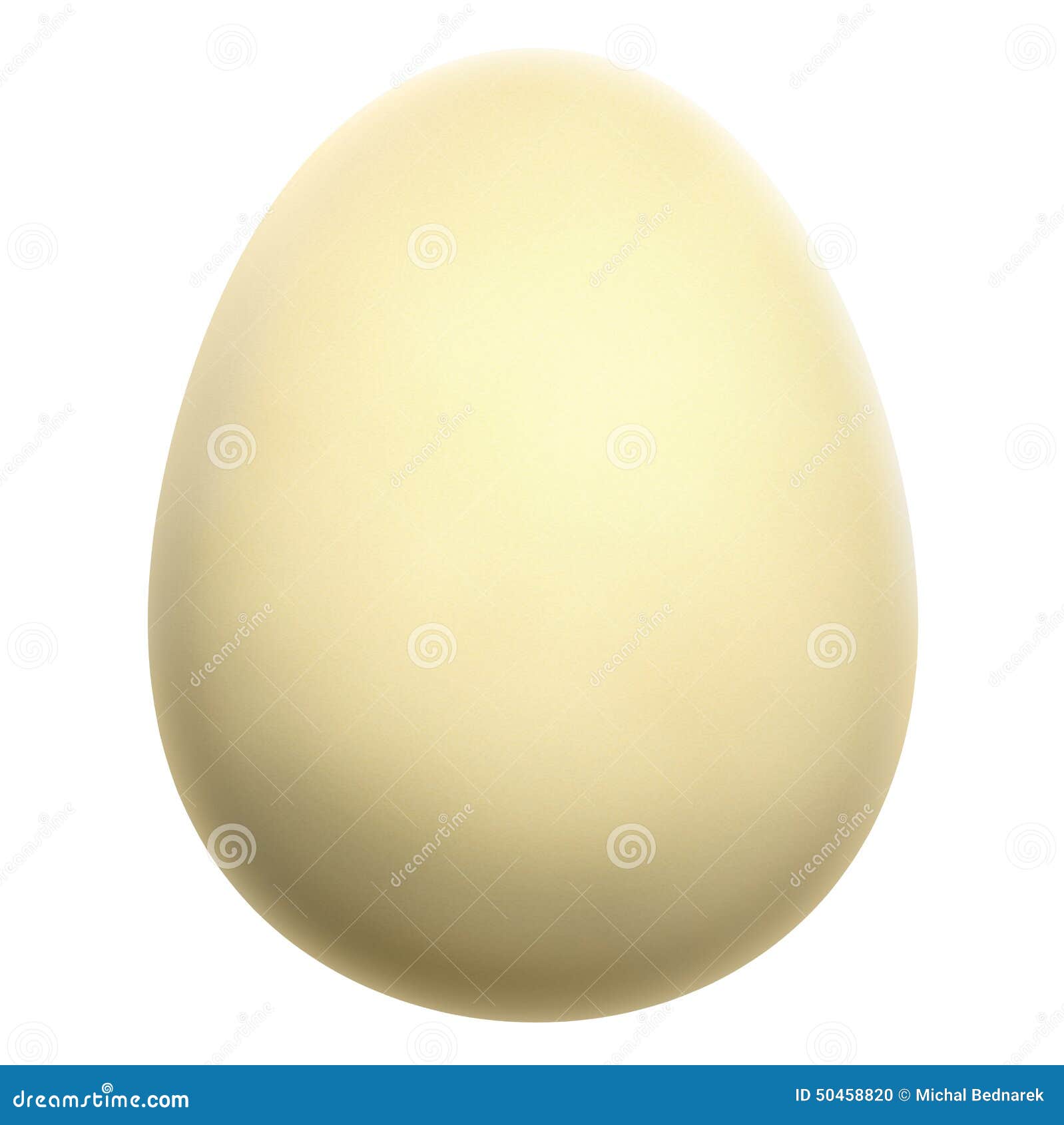 Single Chicken Egg Isolated on White Stock Photo - Image of protein ...