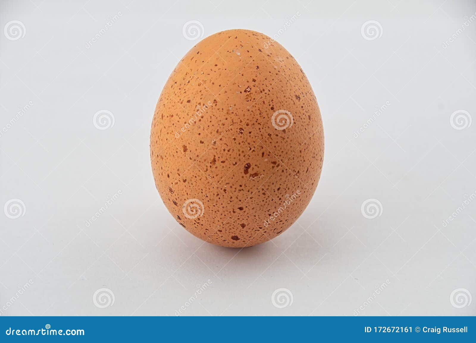 A single chicken egg stock image. Image of eating, ingredient - 172672161