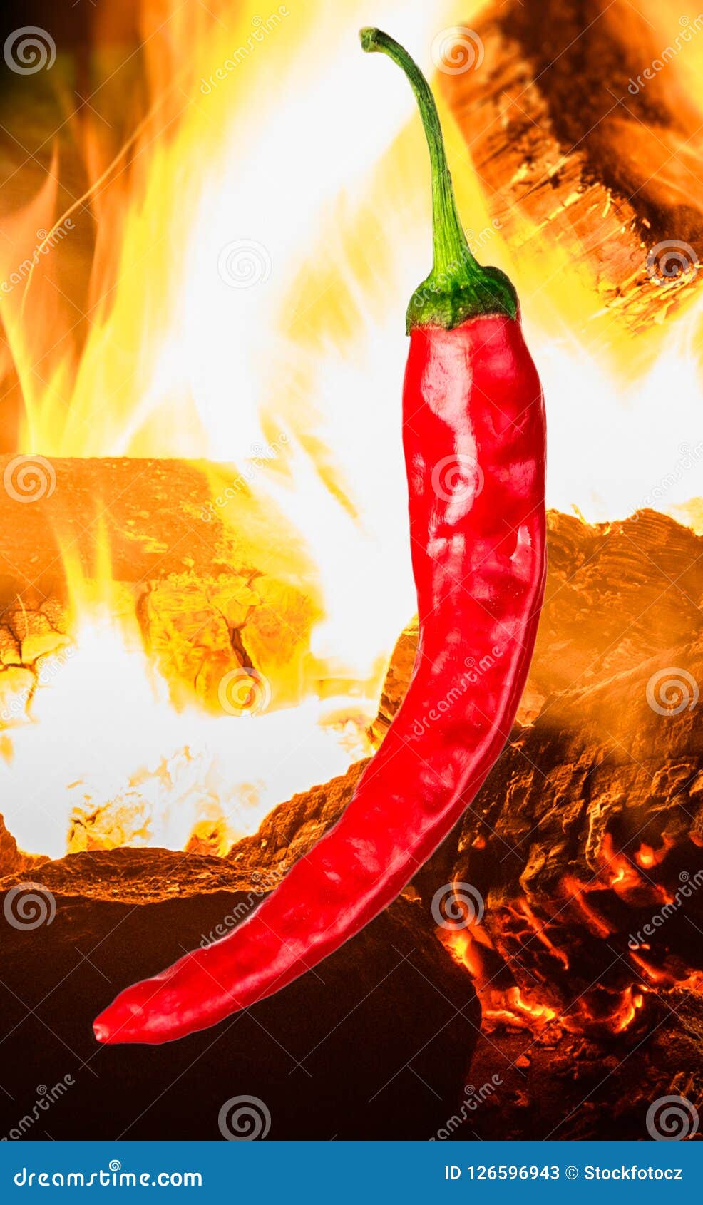 Single Chili Peppers and Fire Stock Image - Image of cook, freshness ...