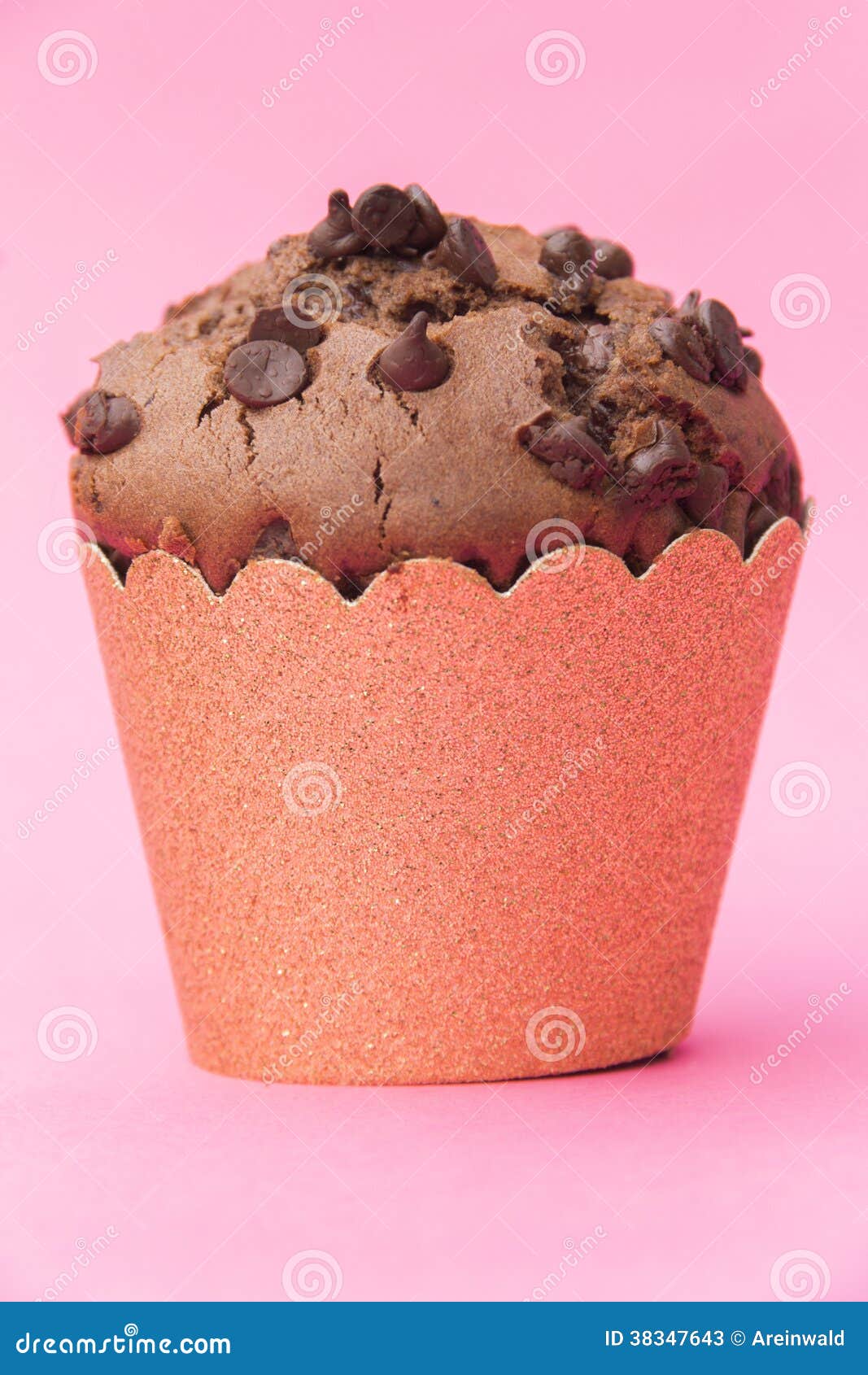 Single Chocolate Muffin stock image. Image of muffin - 38347643