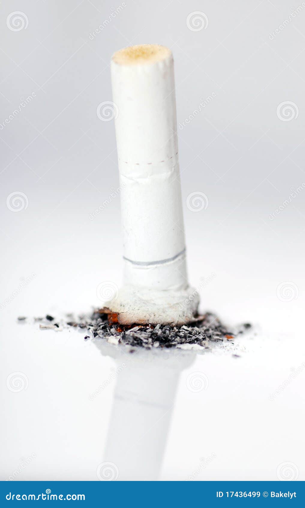 Single cigarette stock image. Image of healthy, nicotine - 17436499