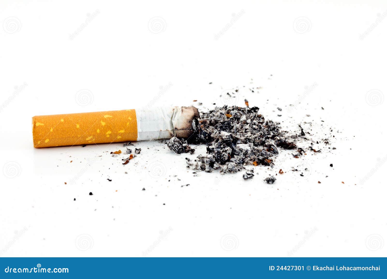Single cigarette with ash stock image. Image of closeup - 24427301