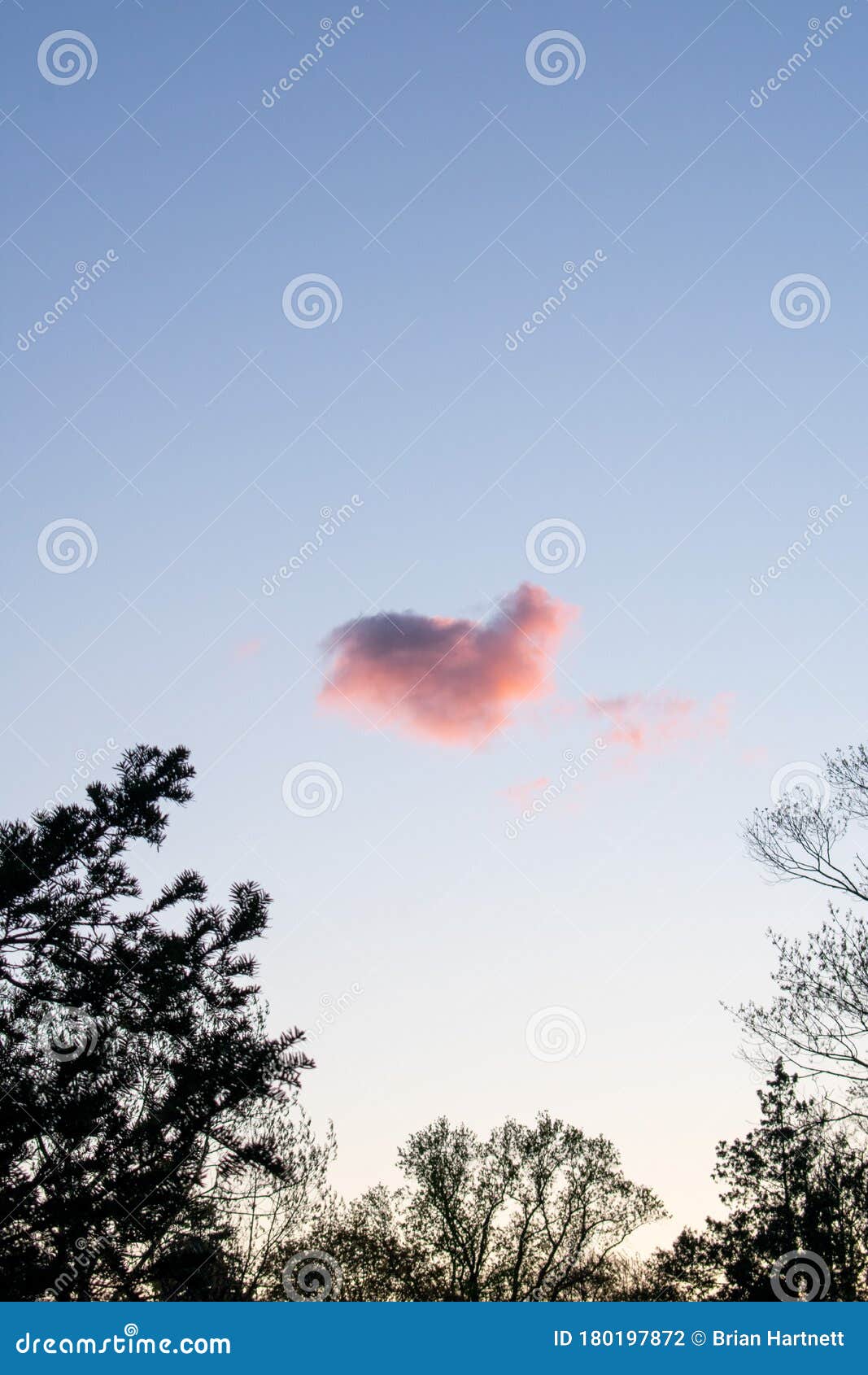 A Single Cloud Floating in a Clear Sky Stock Photo - Image of blue ...