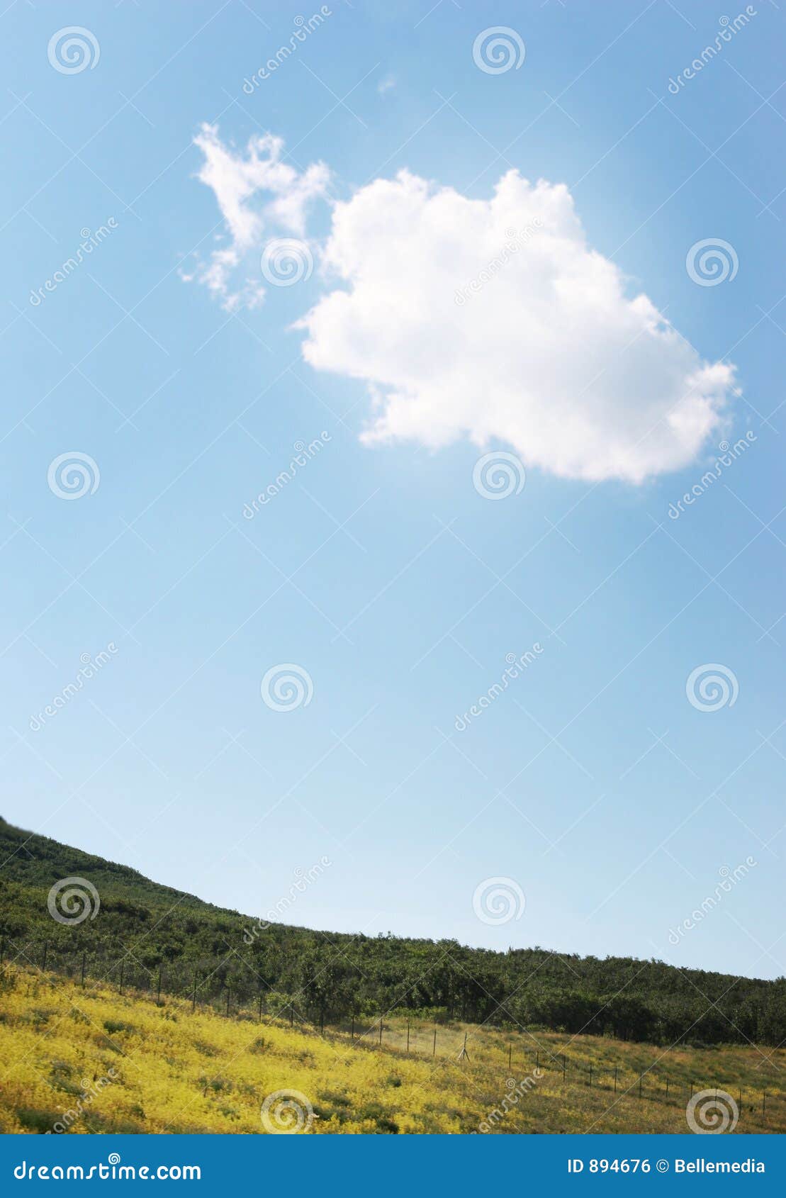 Single cloud in sky stock photo. Image of beauty, daytime - 894676
