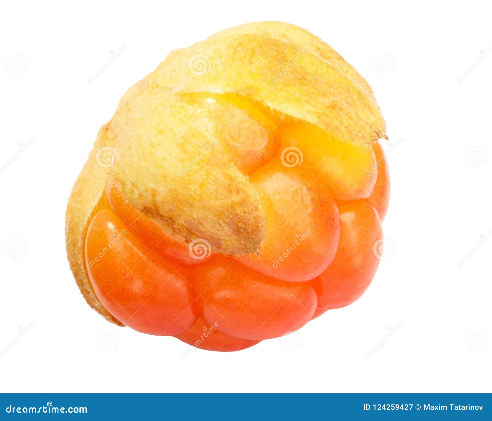 Cloudberry Rubus Chamaemorus, Paths Royalty-Free Stock Photo ...