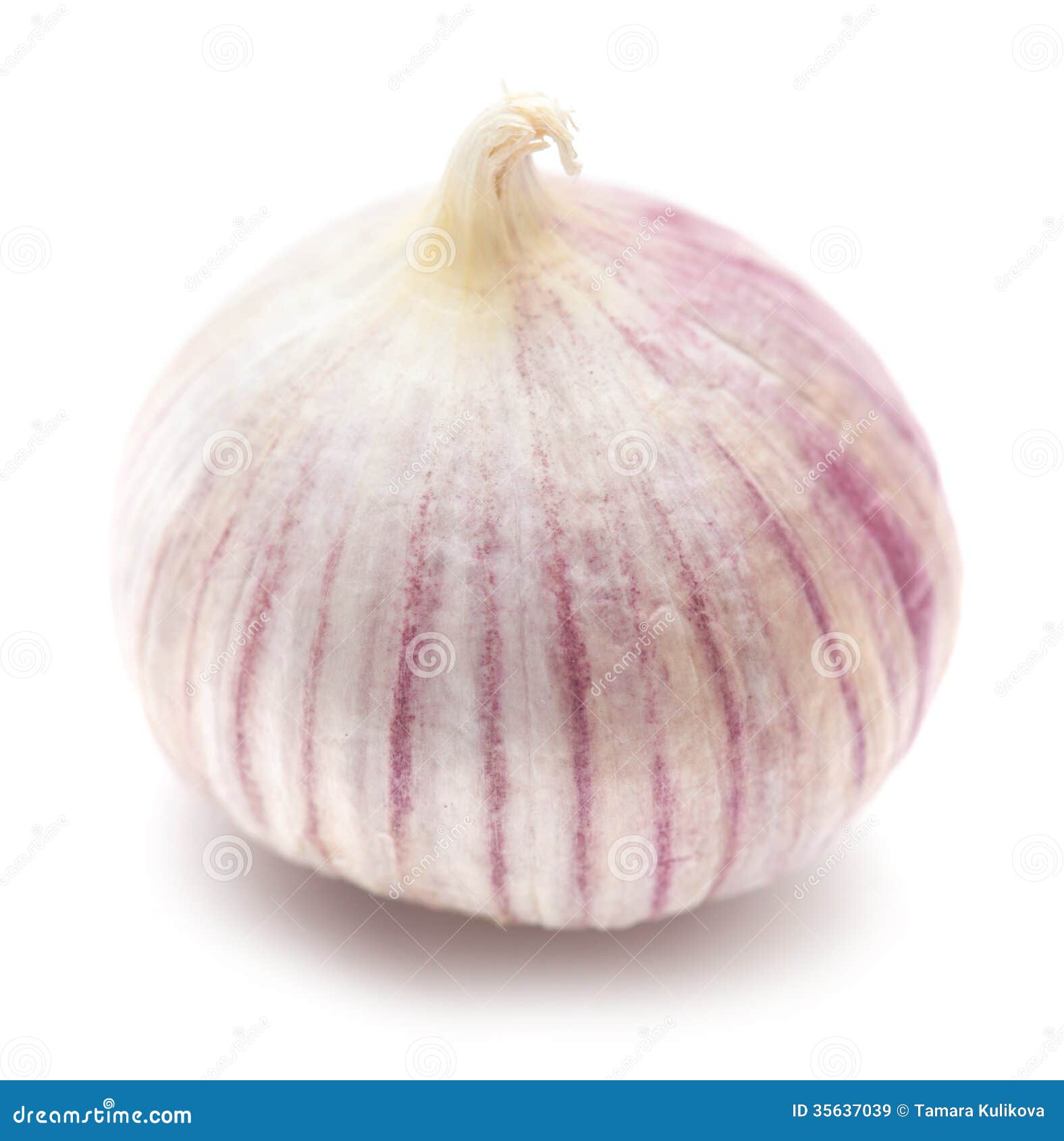 Single clove garlic stock image. Image of bulb, perfumed - 35637039