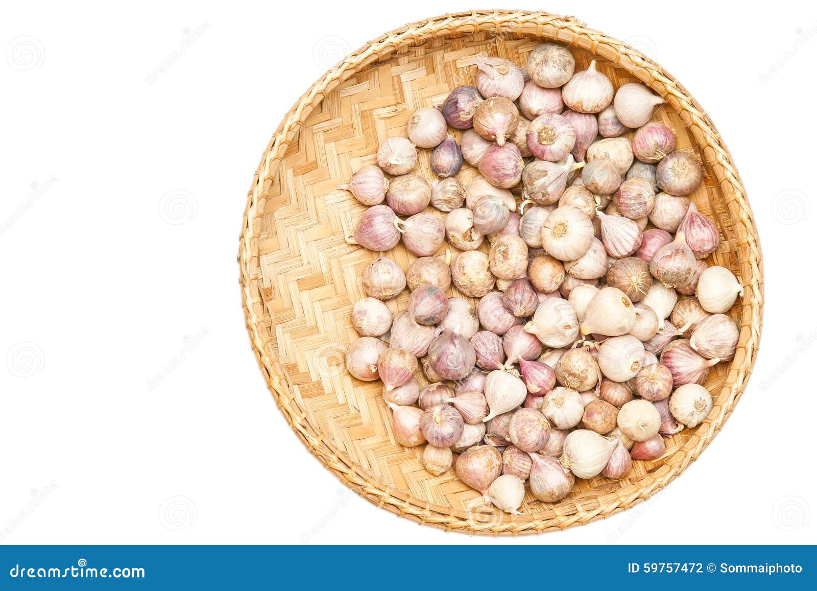 Single clove garlic stock photo. Image of food, single - 59757472