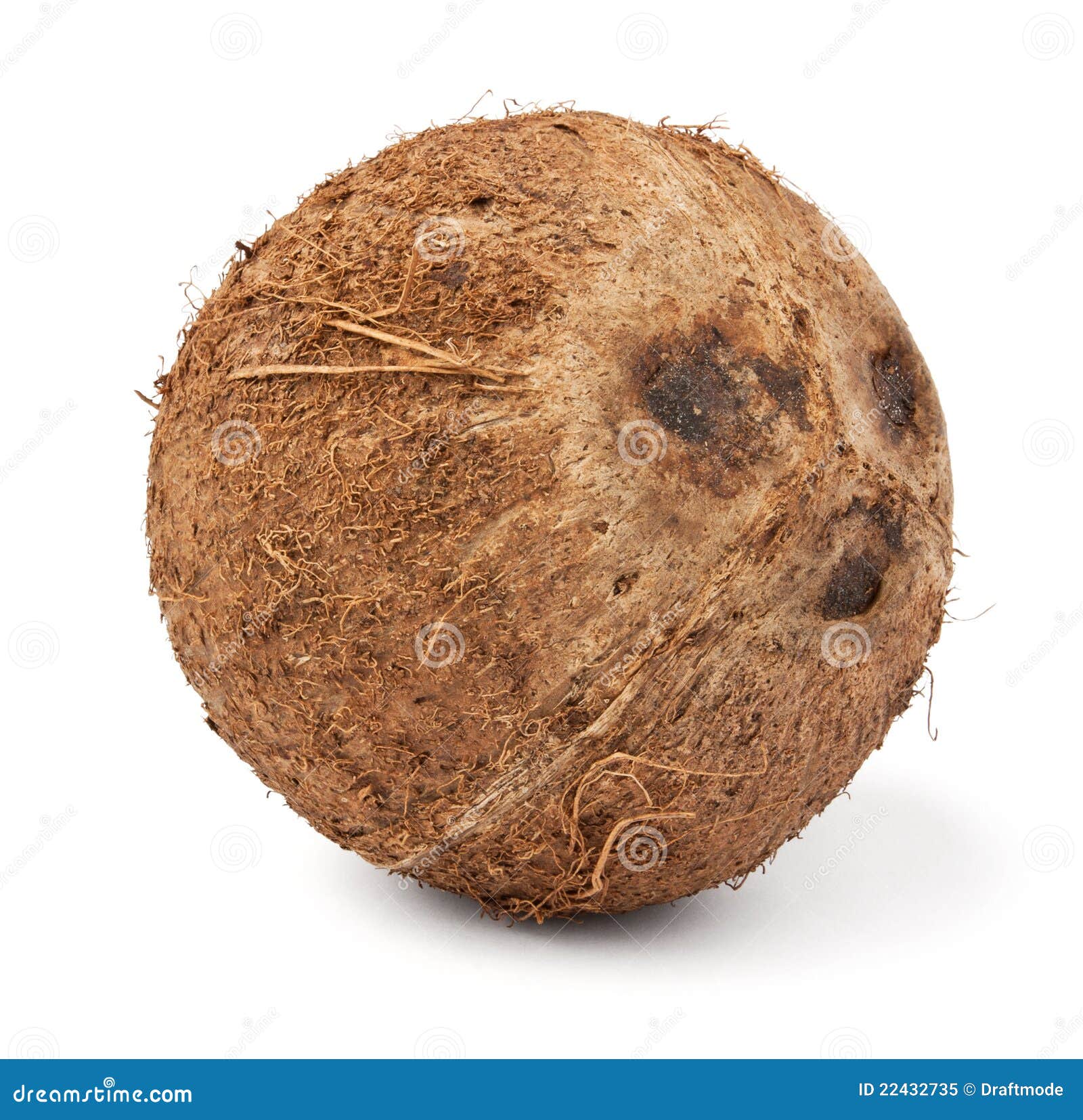 Single coconut stock image. Image of brown, fruits, shadow - 22432735