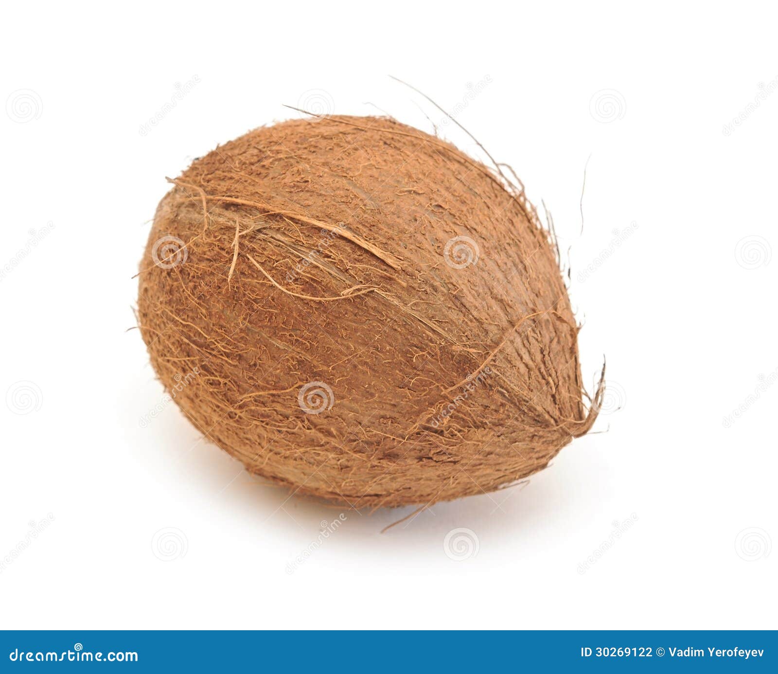 Coconut stock photo. Image of life, eating, exotic, health - 30269122