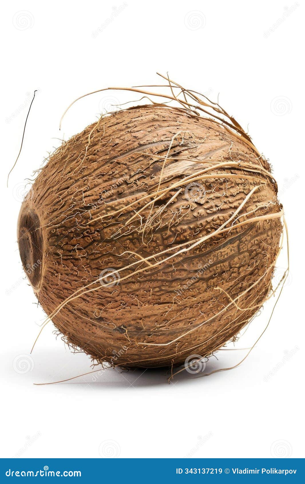 A Single Coconut Sitting on a Clean White Surface Stock Image - Image ...