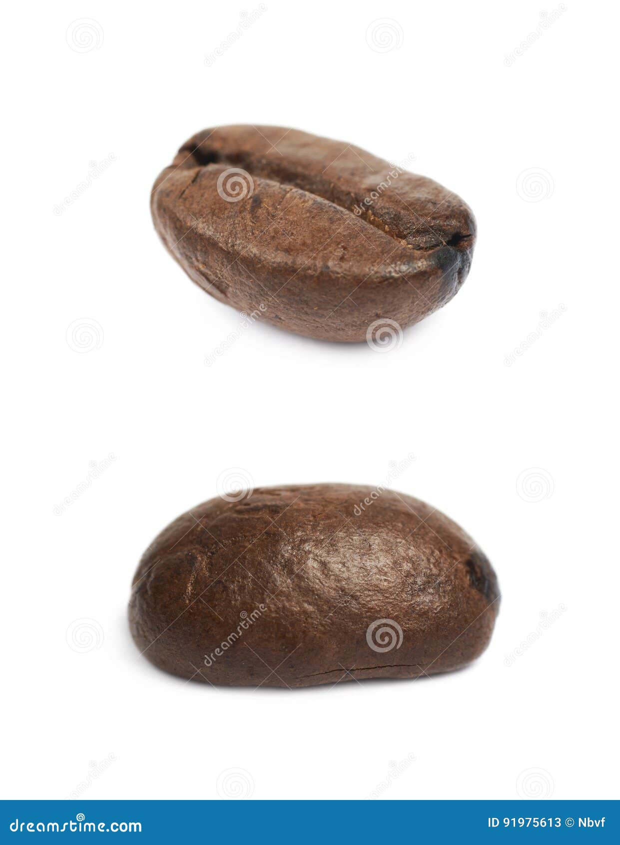 Single coffee bean stock image. Image of coffe, aroma - 91975613