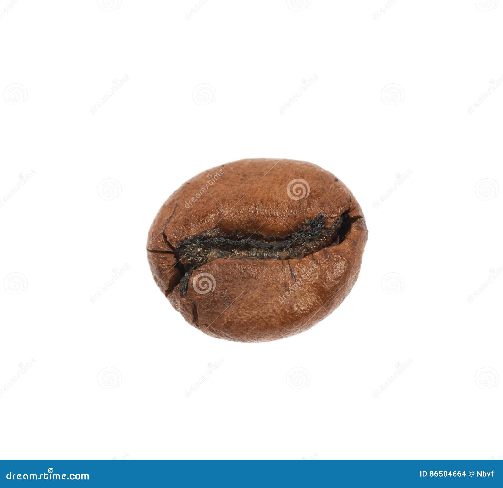 Single Coffee Bean Isolated Stock Photo - Image of caffeine, aroma ...