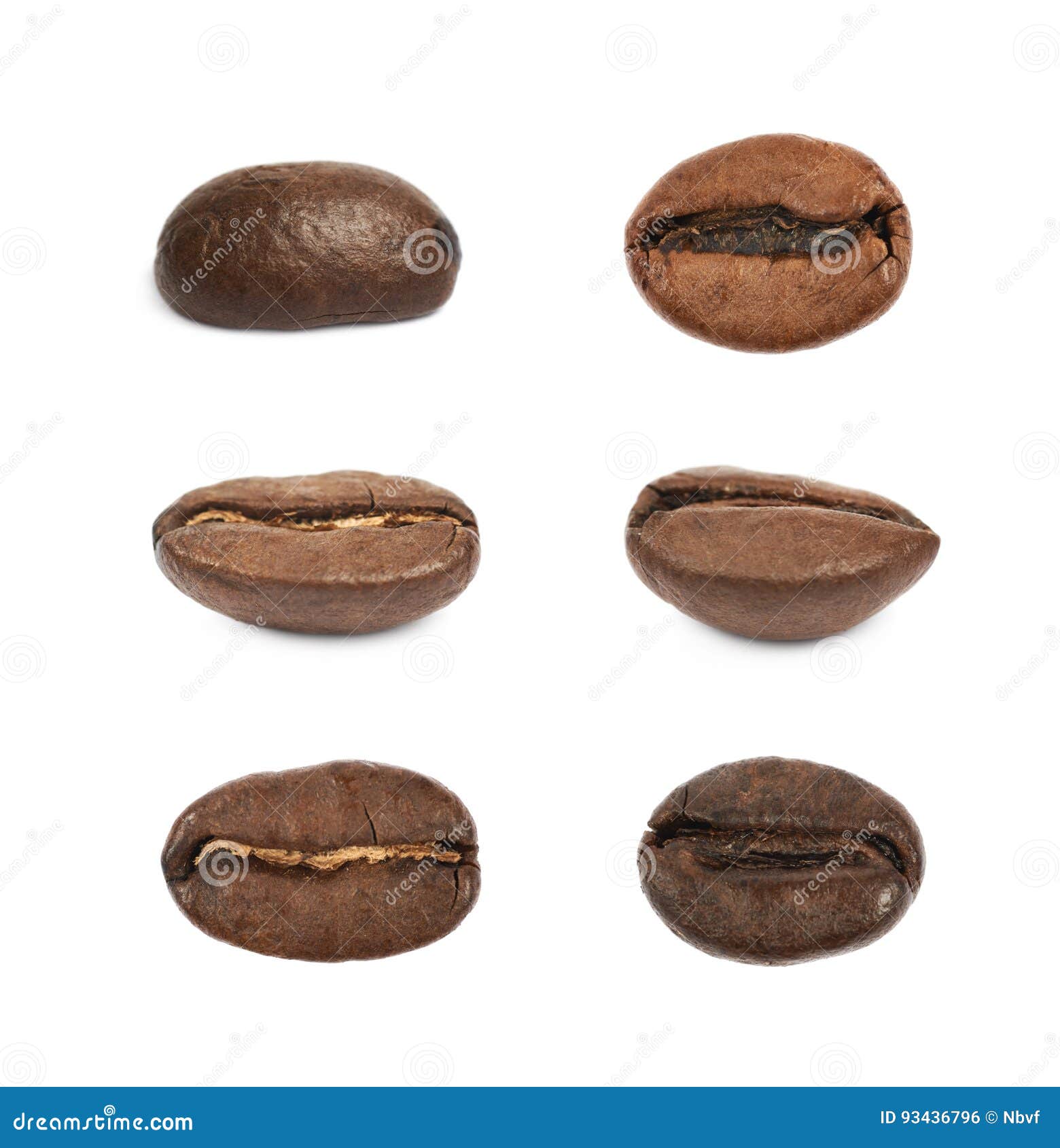 Single Coffee Bean Isolated Stock Photo - Image of food, drink: 93436796