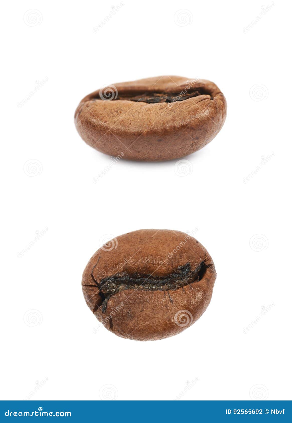 Single Coffee Bean Isolated Stock Photo - Image of cafe, espresso: 92565692