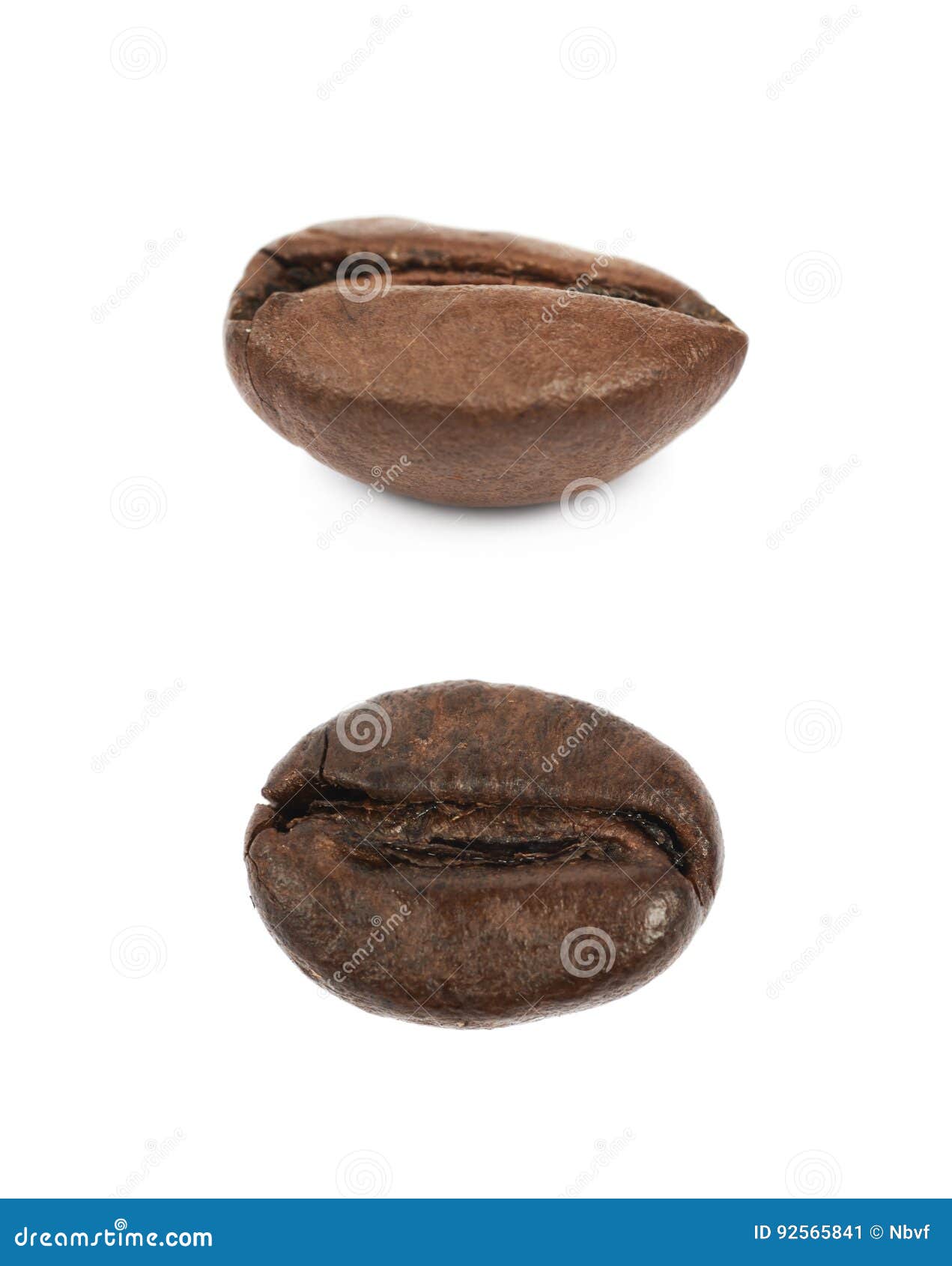 Single Coffee Bean Isolated Stock Image - Image of coffe, background ...