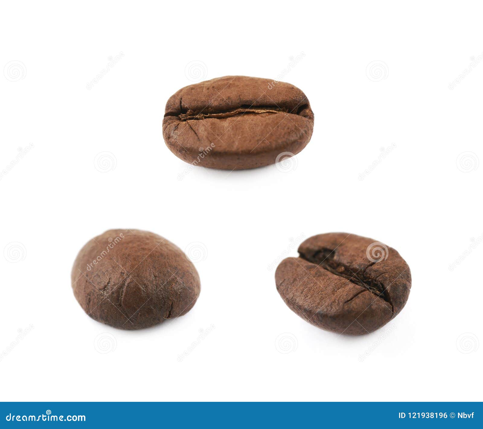 Single Coffee Bean Isolated Stock Photo - Image of coffee, espresso ...