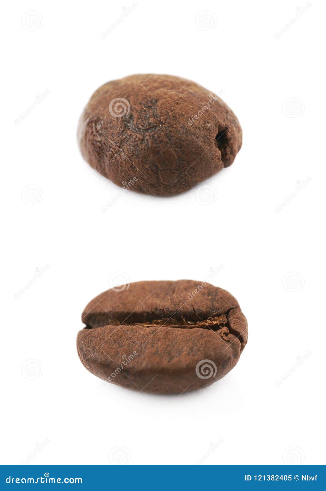 Single Coffee Bean Isolated Stock Image - Image of agriculture, flavor ...