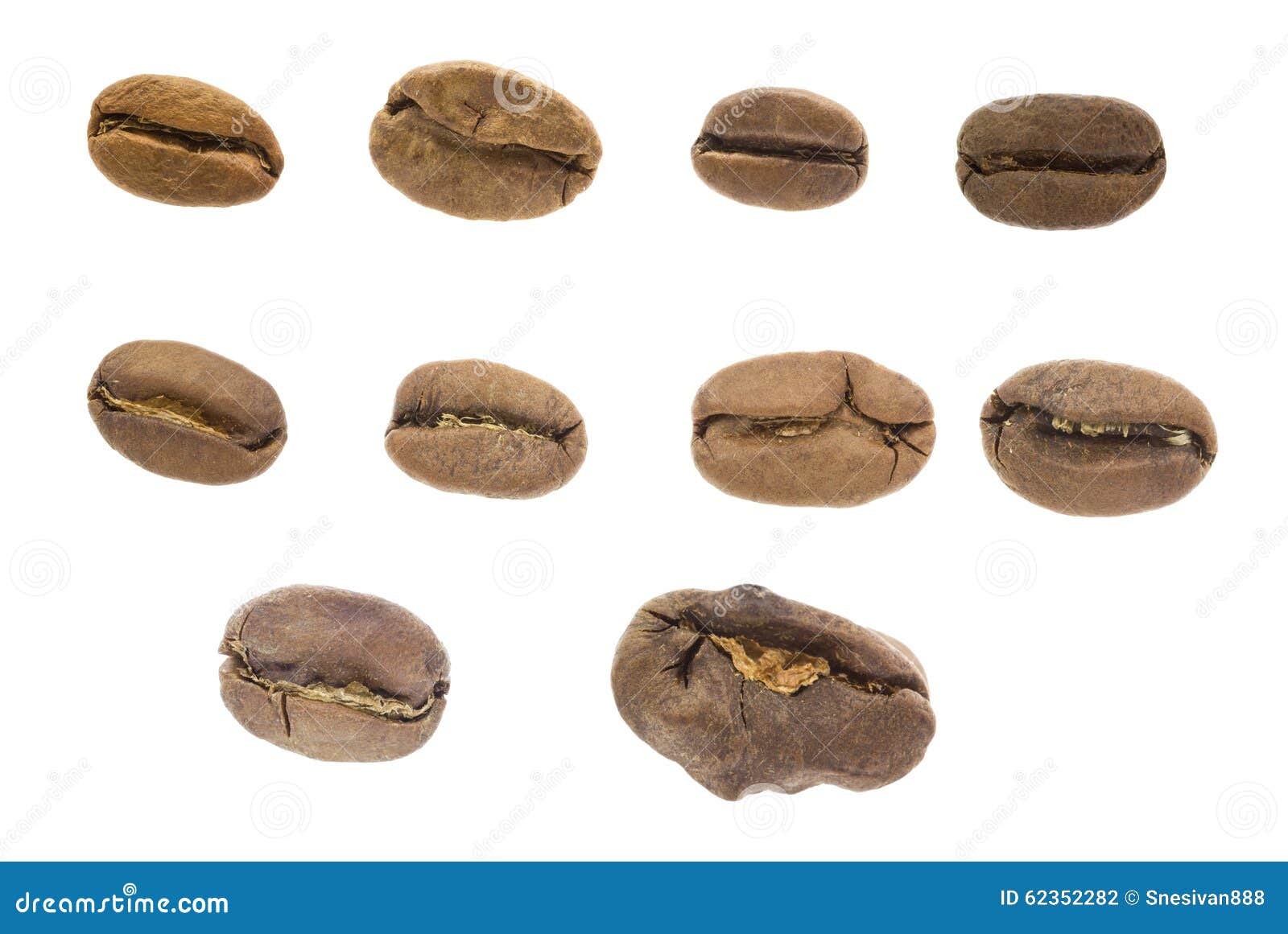 A Single Coffee Bean Isolated on White Background . Stock Photo - Image ...