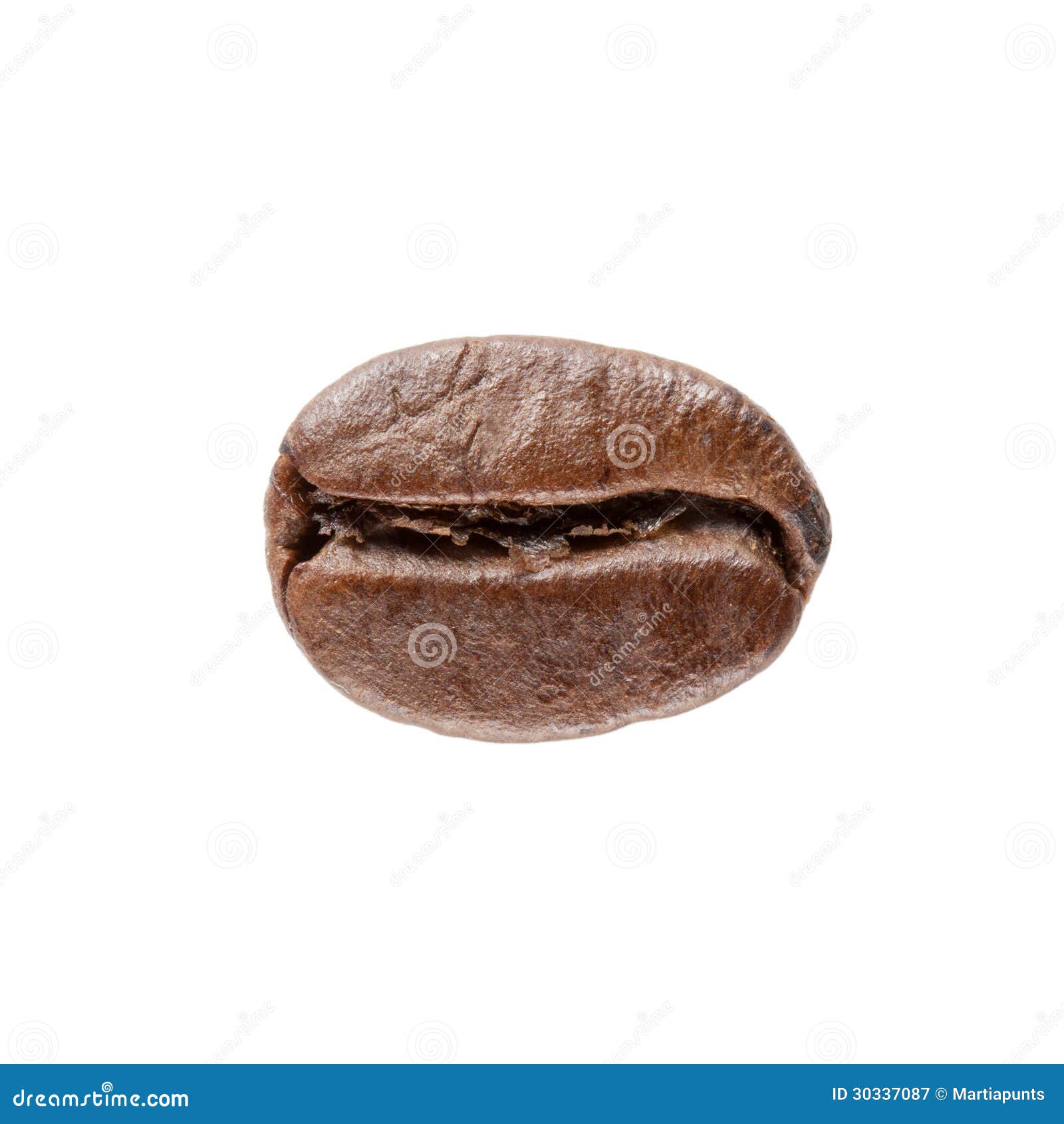 Single Coffee Bean Isolated on White Stock Image - Image of brown ...