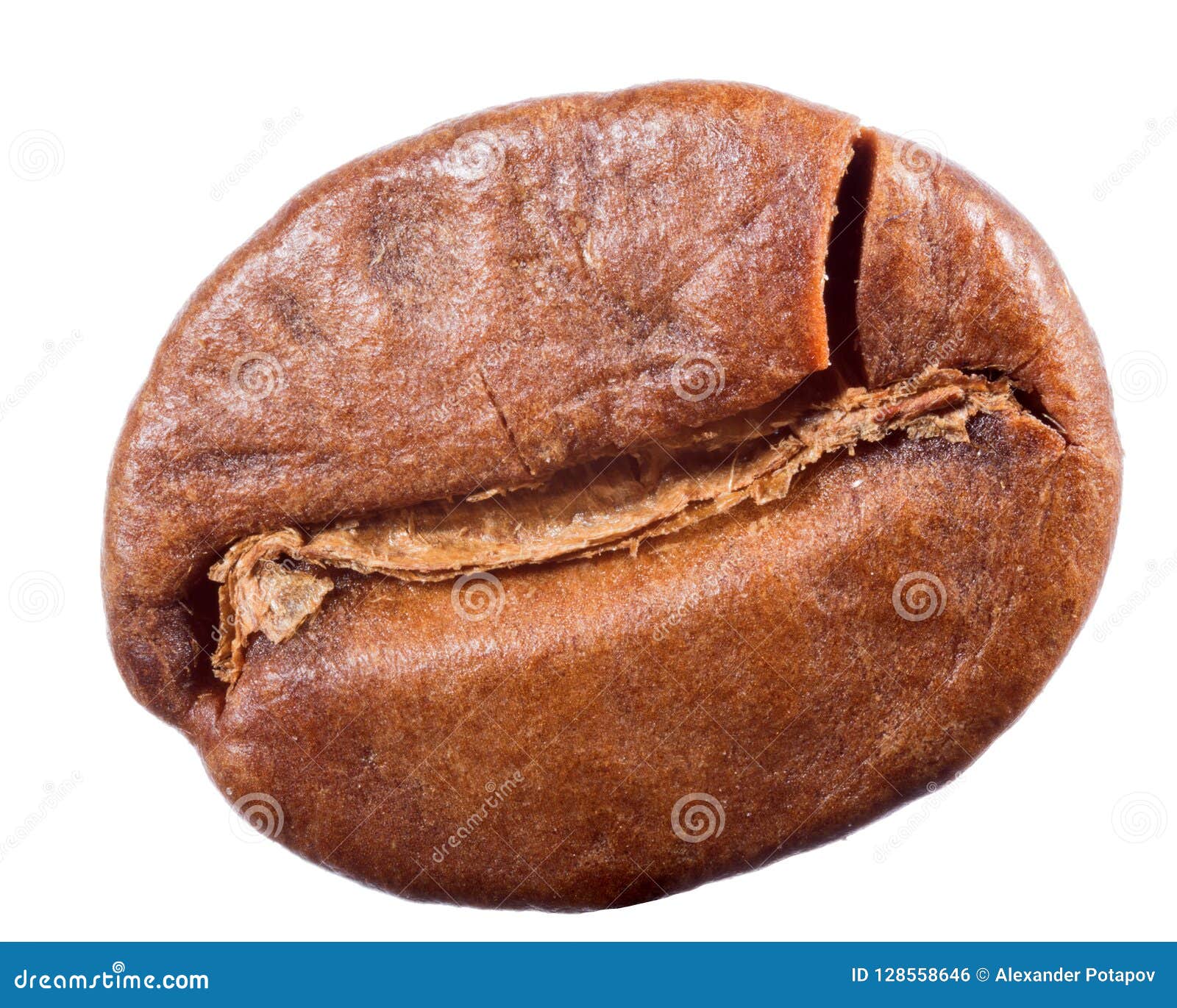Single Coffee Bean on White Stock Photo - Image of ingredient, drink ...