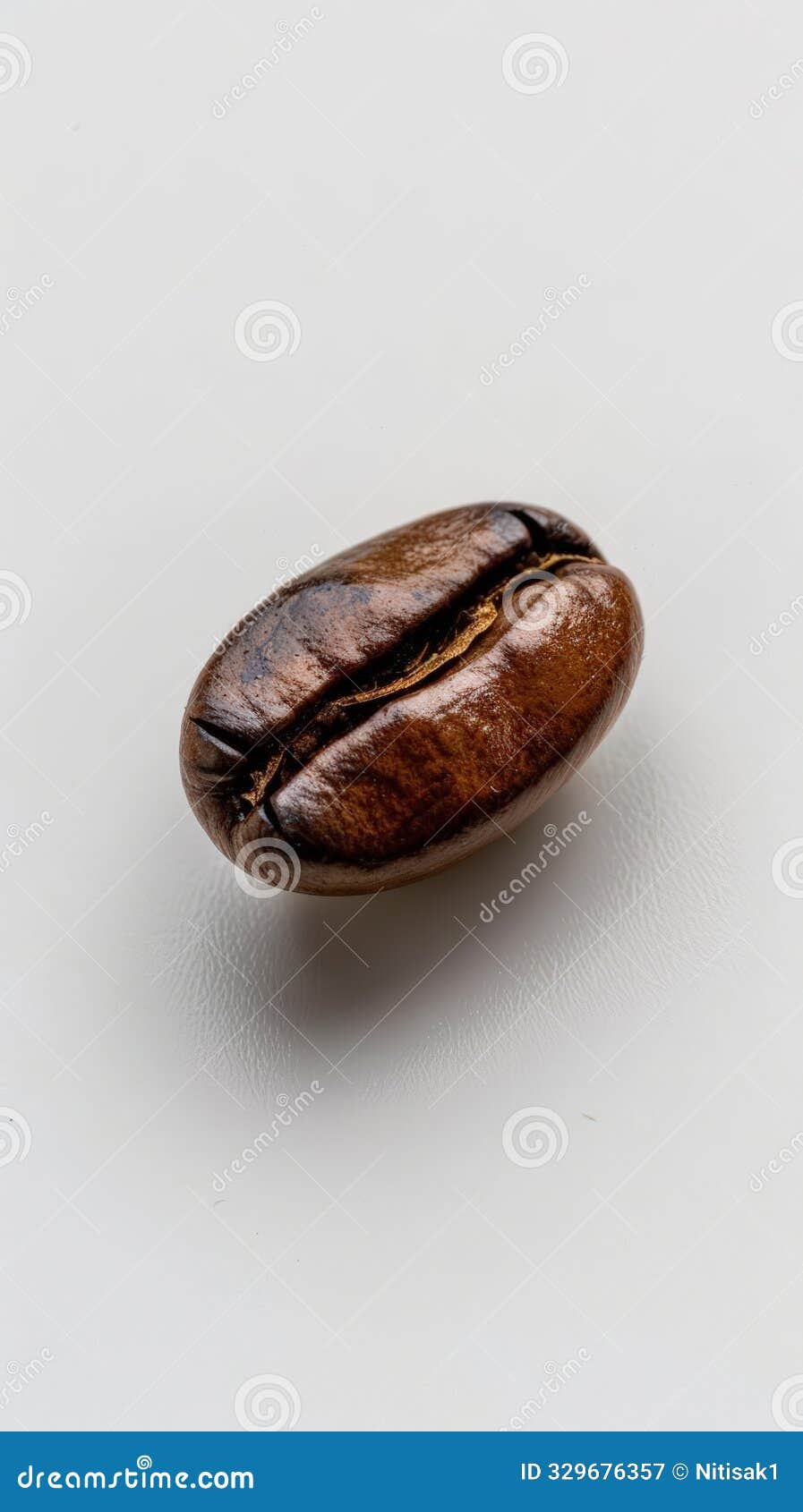 Single Coffee Bean on White Surface Stock Image - Image of microbatch ...