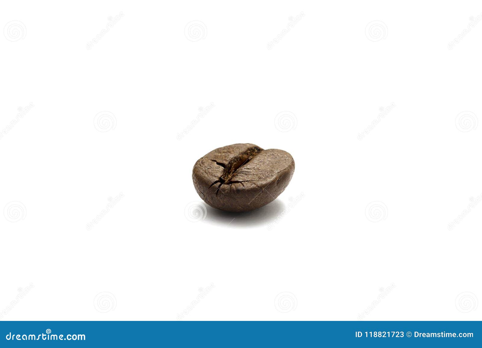 Single Coffee Bean on White Surface Stock Image - Image of brew, angle ...