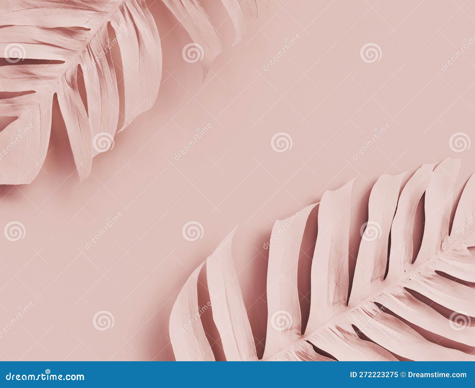 Single Color Palm Leaf on a Solid Light Cyan Background. Mockup Stock ...