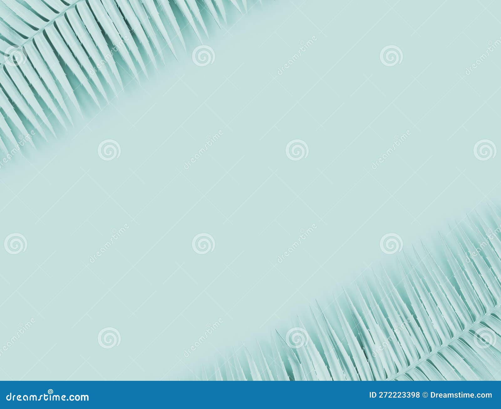 Single Color Palm Leaf on a Solid Light Cyan Background. Mockup Stock ...