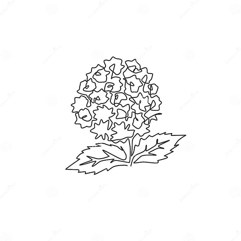 Single Continuous Line Drawing Of Beauty Fresh Lantana For Garden Logo