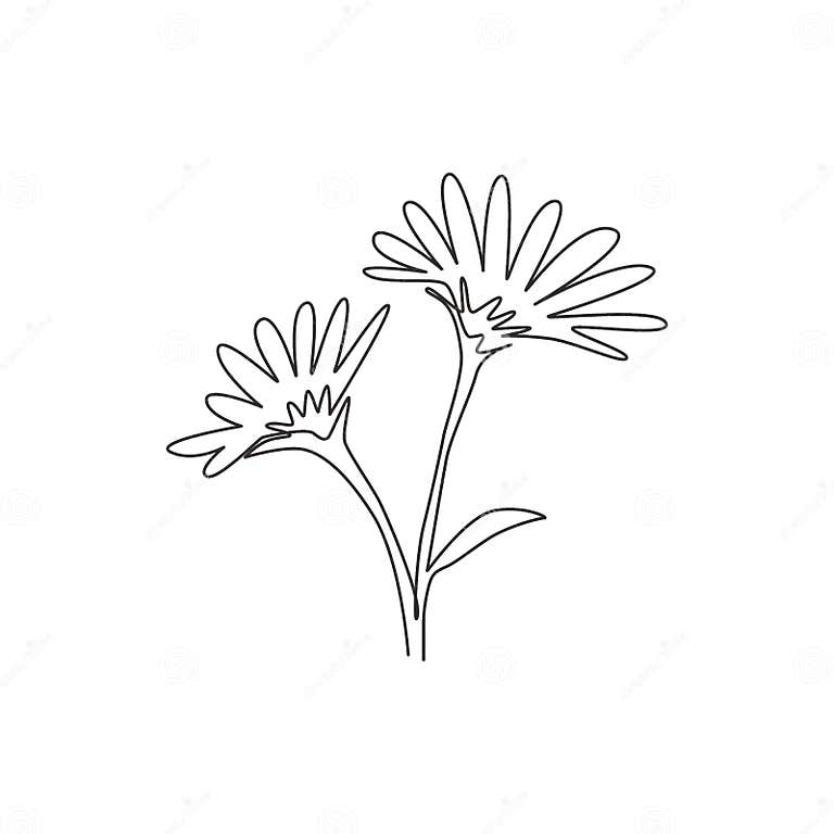 Single Continuous Line Drawing Of Beauty Fresh Perennial Plant For Home